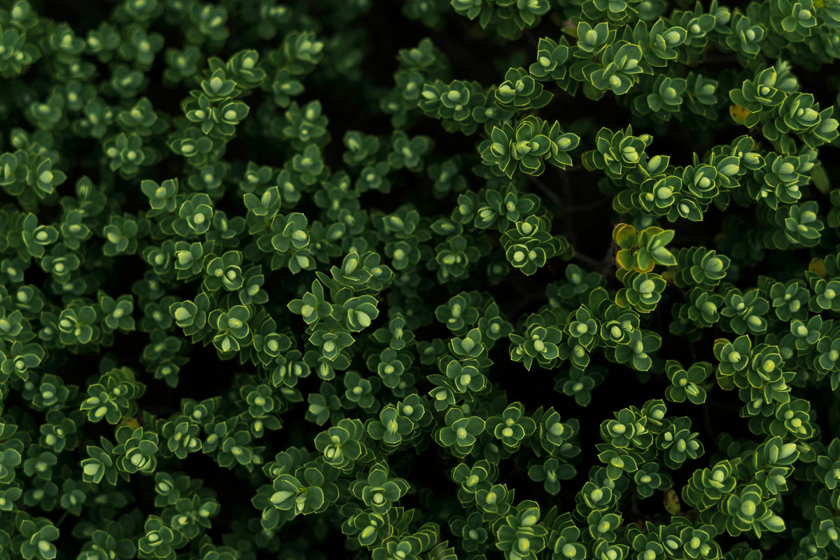 If your life were summed up tomorrow, would you be proud? | Evolve Journey